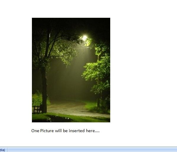 Excel VBA Excel Add Insert A Image Picture In Word Document
